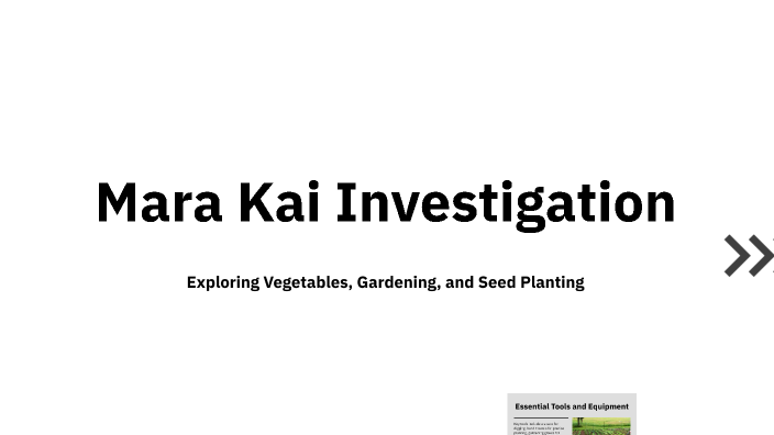 Mara Kai Investigation by mark lugtu on Prezi