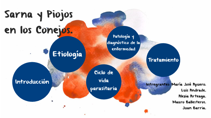 Sarna y piojos en los conejos by Coté Ampuero Rodríguez on Prezi