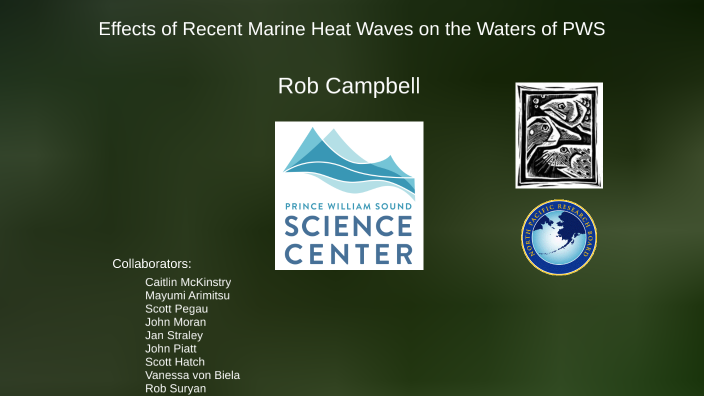 Effects of the Recent Marine Heat Waves on the Waters of PWS 2023 by ...