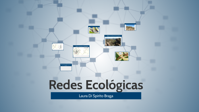 Redes Ecológicas by Laura Braga on Prezi