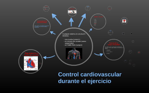 Control cardiovascular durante el ejercicio by Tomás Pontarolo on Prezi