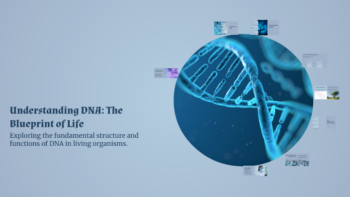 Understanding DNA: The Blueprint of Life by Sybrand Vries on Prezi