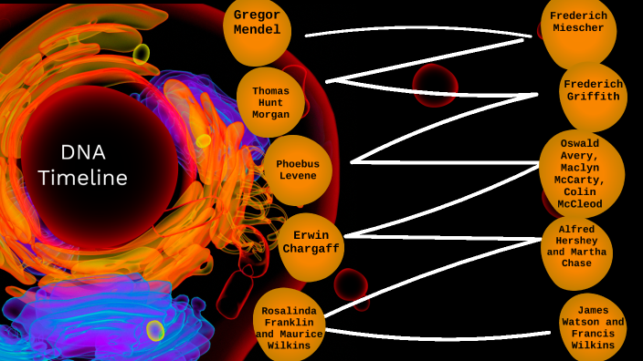 DNA TIMELINE by Graydon Miller on Prezi