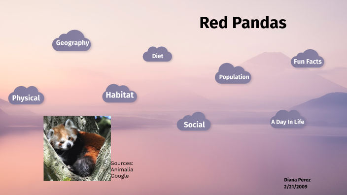 Red Panda Presentation by Diana Perez Jimenez on Prezi
