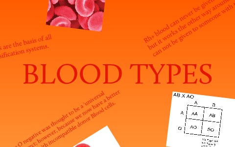 Blood Types by Morgan Rozek on Prezi