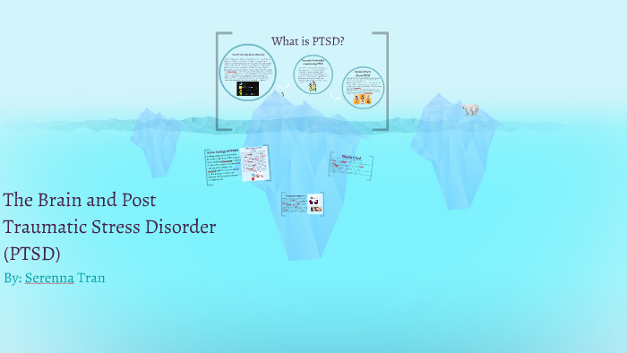 The Brain and Post Tramatic Stress Disorder (PTSD) by Serenna Tran on Prezi