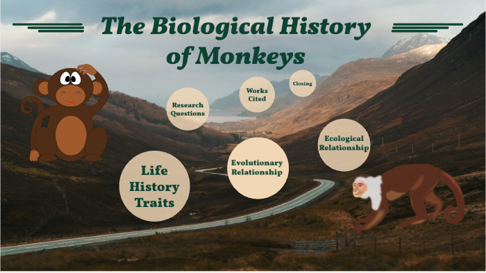 The Biological History of Monkeys by RS Luk on Prezi