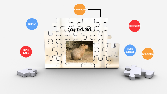 CAPIBARA by Isaac G.F. on Prezi