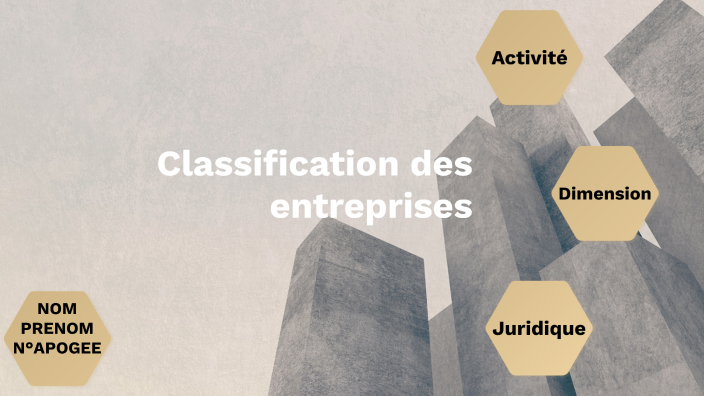 Classification des entreprises by INASS SAIDNI on Prezi