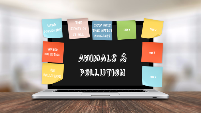 Passion Project: Animals & Pollution by ELAINA CHEN on Prezi