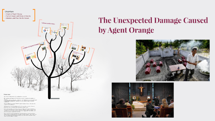 Agent Orange: The Unexpected Damage by Coleen Truong on Prezi