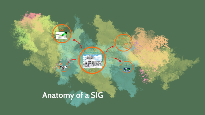 Anatomy of a SIG by on Prezi