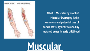 Muscular System Disorder Poster by Ronin Boaz on Prezi Design