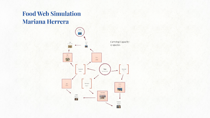 Food Web Simulation Project by Mariana H. on Prezi