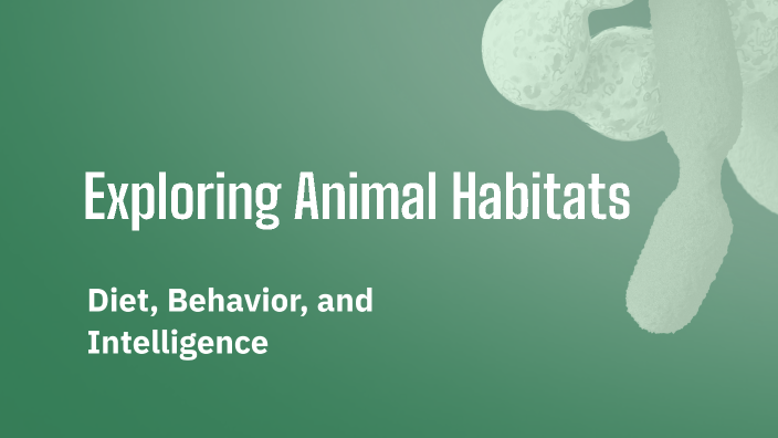Exploring Animal Habitats by Daniel Sharland on Prezi
