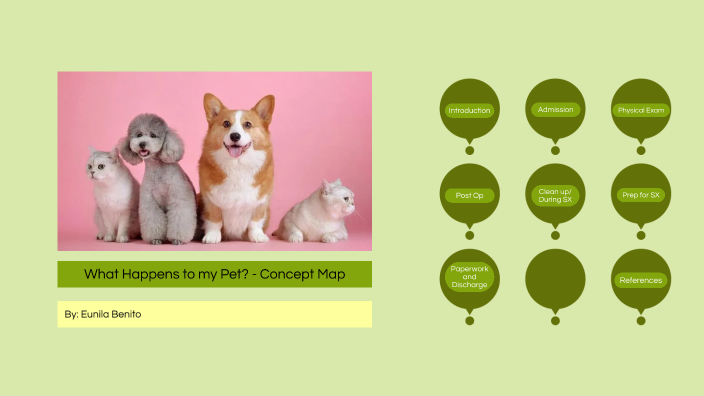 What Happens to My Pet? Concept Map by Eunila Benito on Prezi