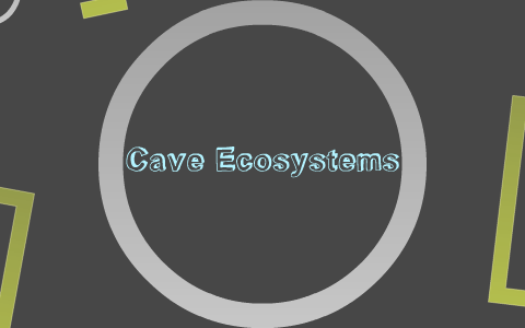 Cave Ecosystems by Anna Sharp