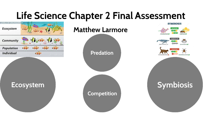 Life Science Chapter 2 Final Assessment by Matthew Larmore on Prezi
