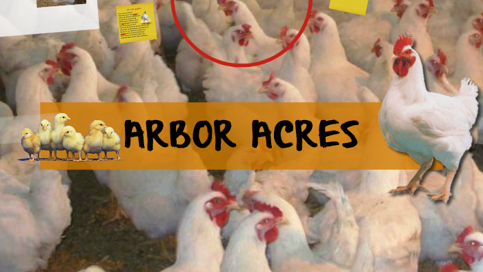ARBOR ACRES by Kariana castaño carpio on Prezi