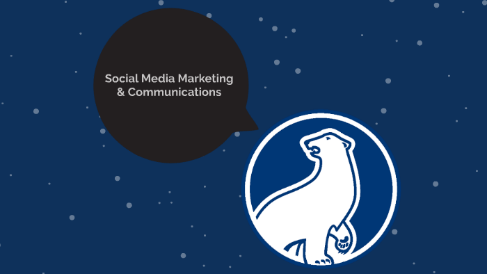 An Introduction to the Groundswell by Meaghan Hardy-Lavoie on Prezi