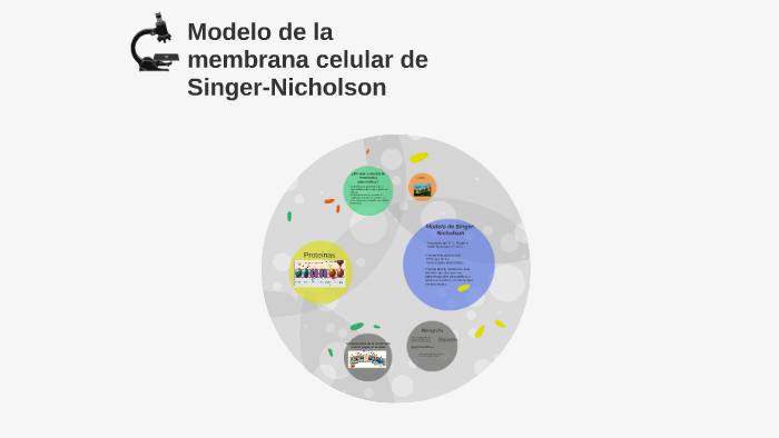 Modelo de la membrana de Singer-Nicholson by Guido Ramírez on Prezi