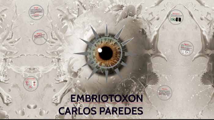 EMBRIOTOXON by Ana Echeverria on Prezi