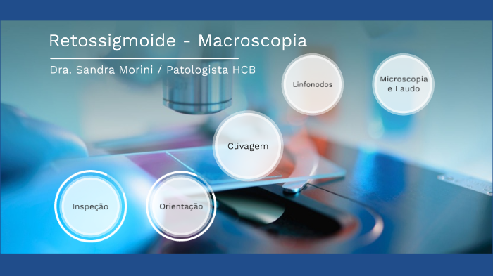 Retossigmoide - Macroscopia by Anne Rendeiro on Prezi