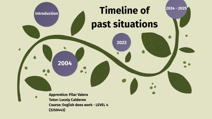 Timeline of past situations Timeline of past situations (Vocabulary ...