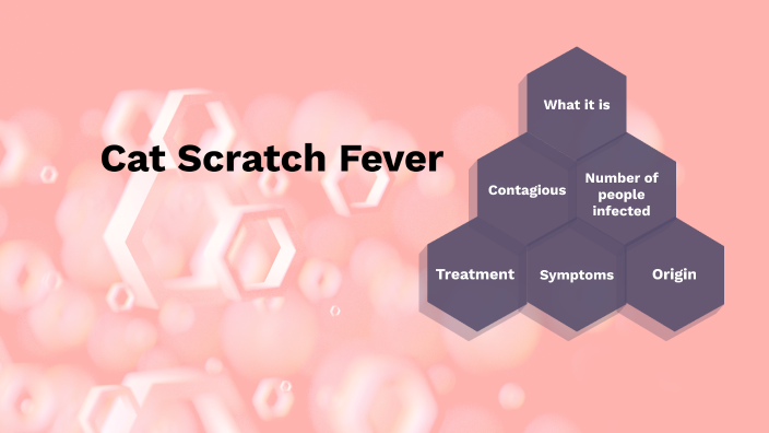 Cat Scratch Fever by David Dorn on Prezi