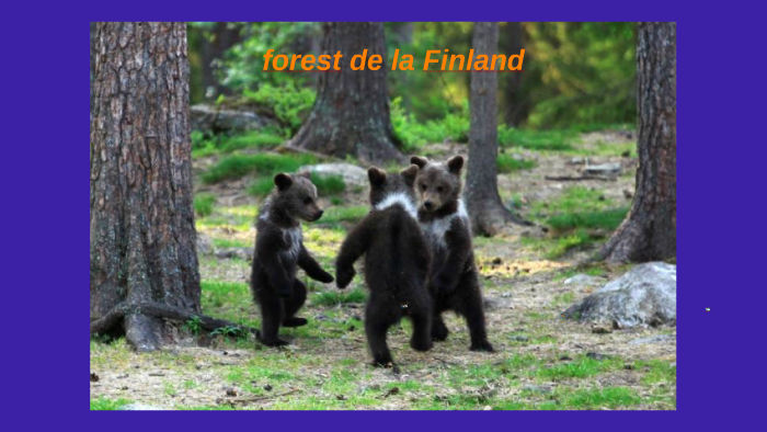 forest de la Finland by Simon Labrie on Prezi
