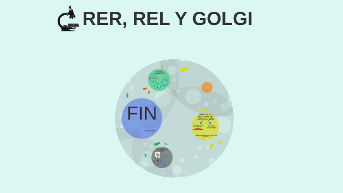 RER, REL Y GOLGI by ramiro ballero on Prezi
