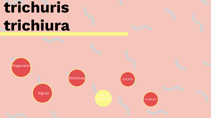 Trichuris trichiura by Valery Vergara on Prezi