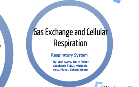 Gas Exchange and Cellular Respiration by Mahali Schenkelberg on Prezi
