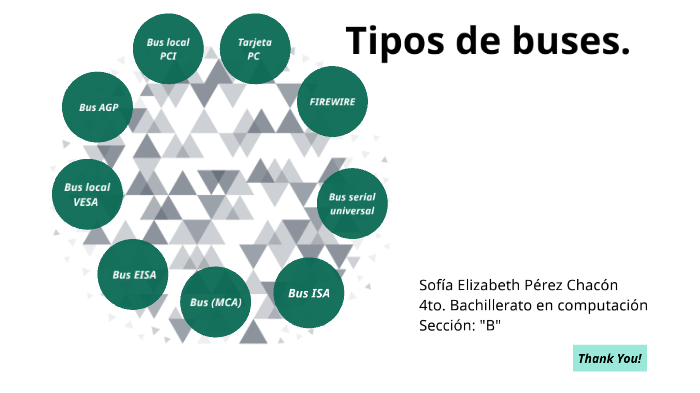 Tipos de buses Sofia Perez by Sofia Ellizabeth Perez Chacon on Prezi