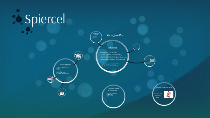 Spiercel by Julian Hollander on Prezi