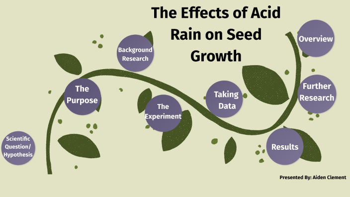 The Effect Of Acid Rain On Seed Growth by Aiden Clement on Prezi