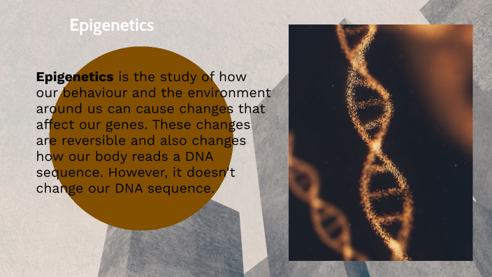 Epigenetics and Generational Trauma How They Relate by Tianna Marsh on ...