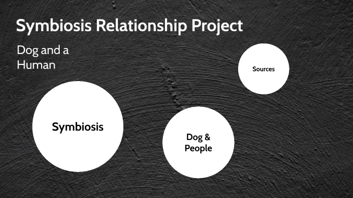 Symbiosis Project by Andrin Reimers on Prezi