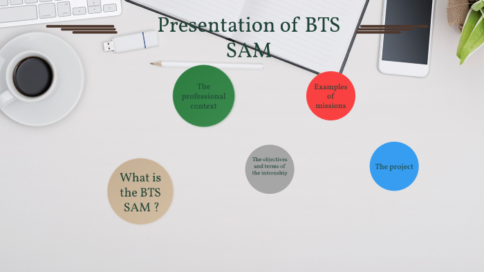 Présentation BTS SAM en Anglais by Gabriel BUGETTE on Prezi