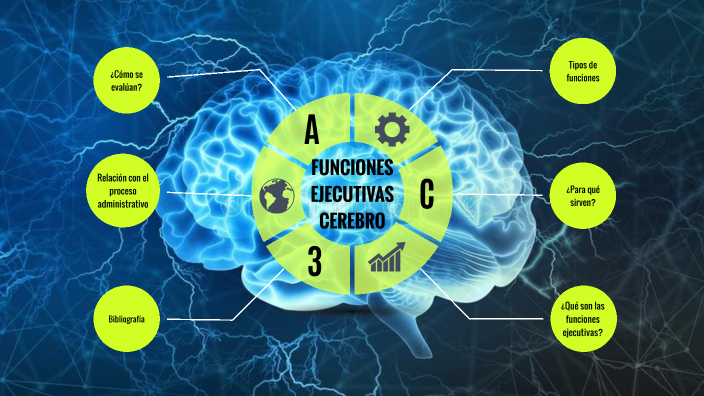 Funciones ejecutivas del cerebro by Paola Andrea Giraldo Gómez on Prezi