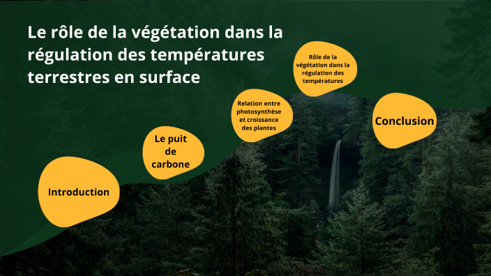 Diapo Es Svt by Charles Delerue on Prezi