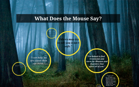 What Does the Mouse Say? by Jessica Lee