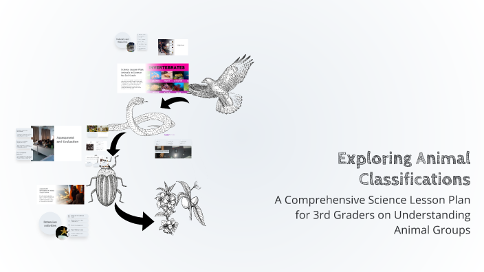 Exploring Animal Classifications by dlaivsdjl LSCDNILDs on Prezi