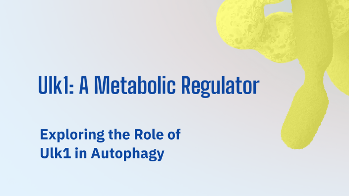 Ulk1: A Metabolic Regulator by Orion Willoughby on Prezi