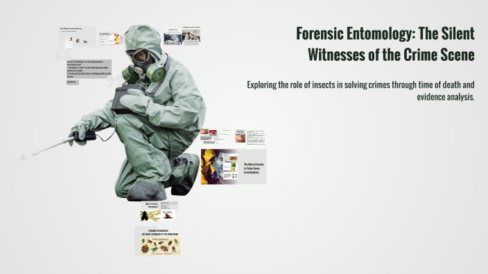 Forensic Entomology: The Silent Witnesses of the Crime Scene by Rawnaq ...