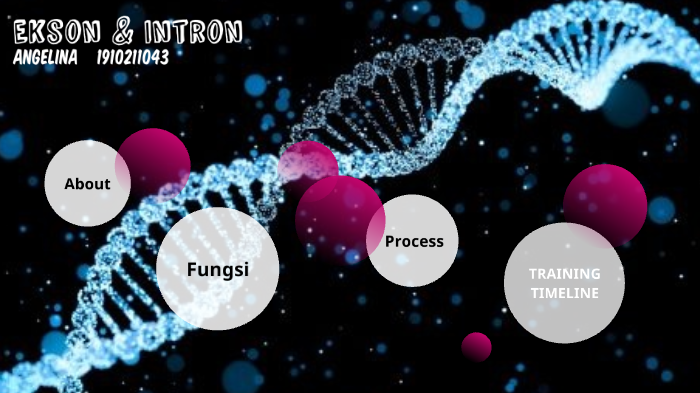 ekson intron by Angelina Devora on Prezi