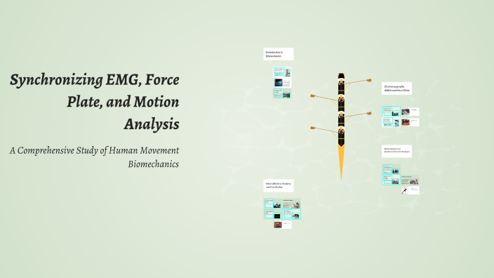 Synchronizing EMG, Force Plate, and Motion Analysis by Nosratollah ...