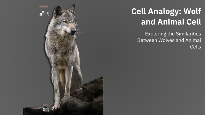 Cell Analogy: Wolf and Animal Cell by Elexia Jimenez on Prezi