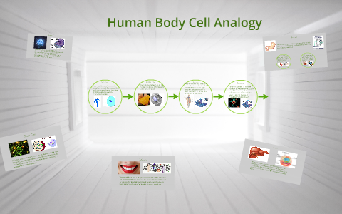 Human Body Cell Analogy by Michael Sawyer on Prezi