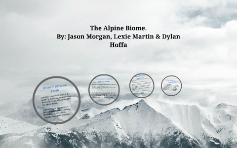 The Alpine Biome by Jason Morgan on Prezi
